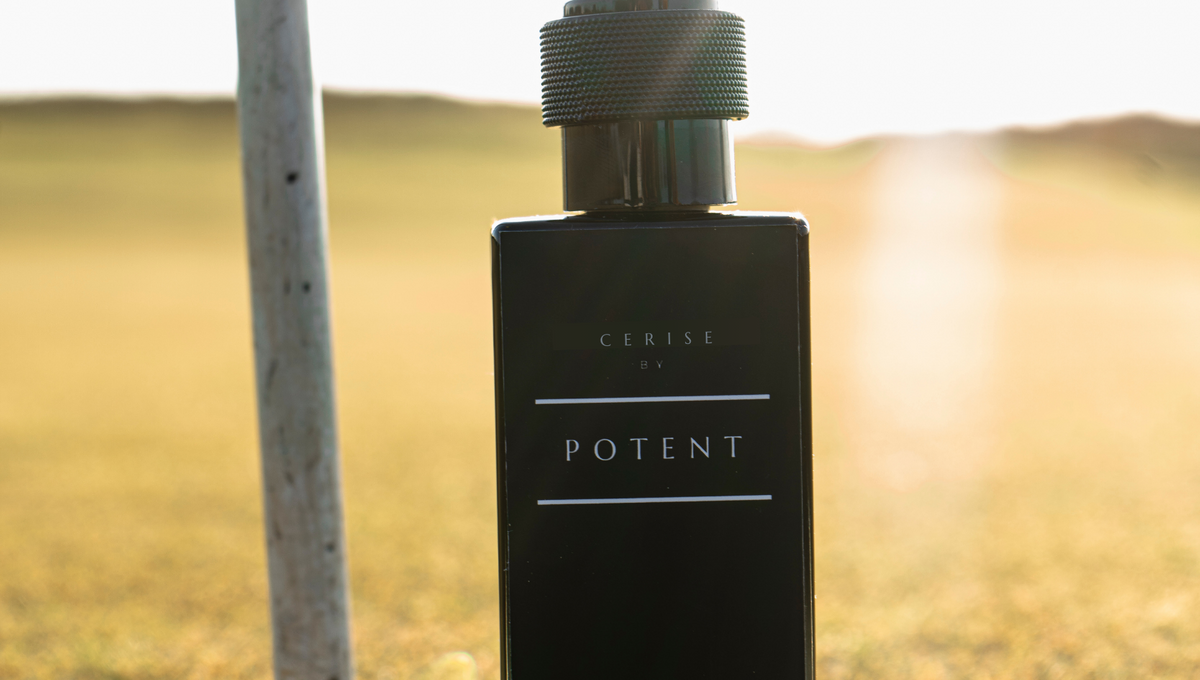 Potent Store – Potent Fragrances